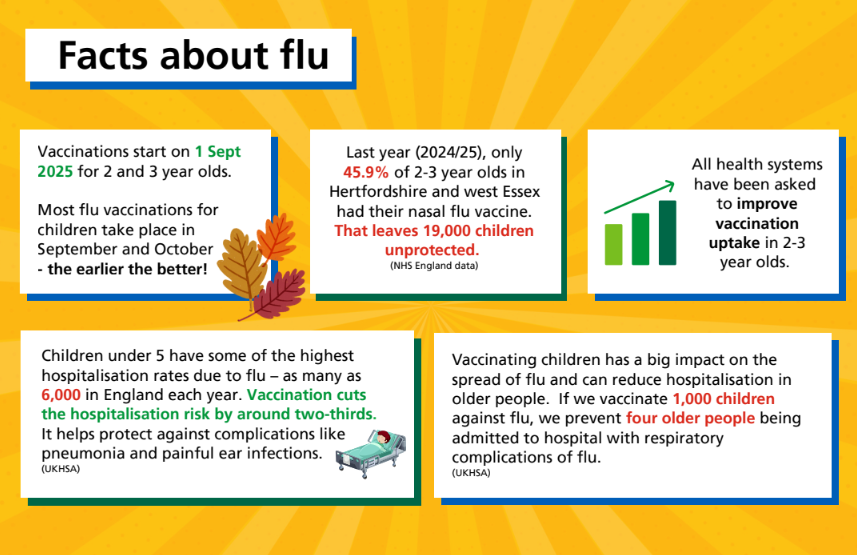Don’t let flu spoil their fun – protect your child with the free nasal ...